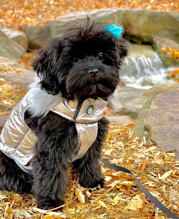 Huskimo Everest Silver Dog Jacket | Lux Pets