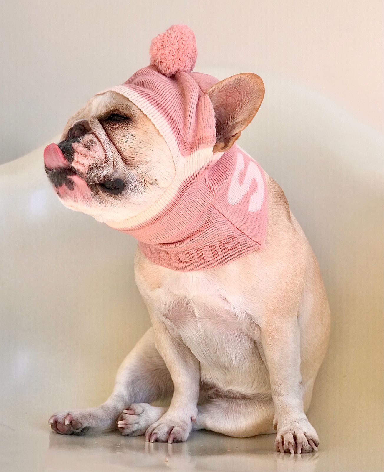 MaxBone Balaclava for Dogs - Pink – Lux Pets